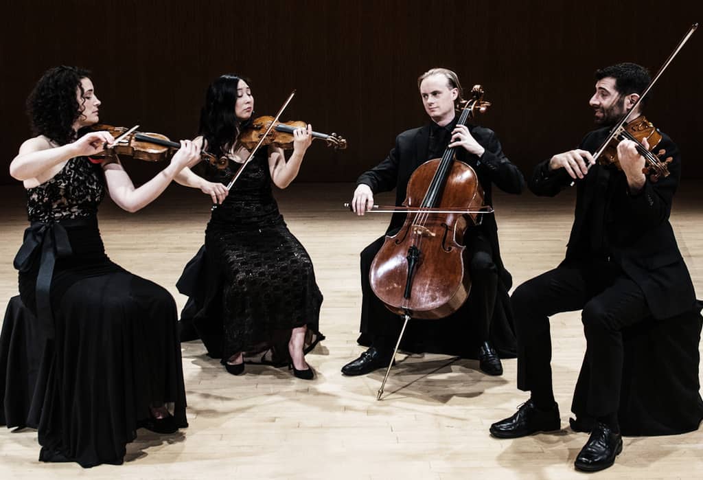 The four pillars of Networking - Casual Vision NLF